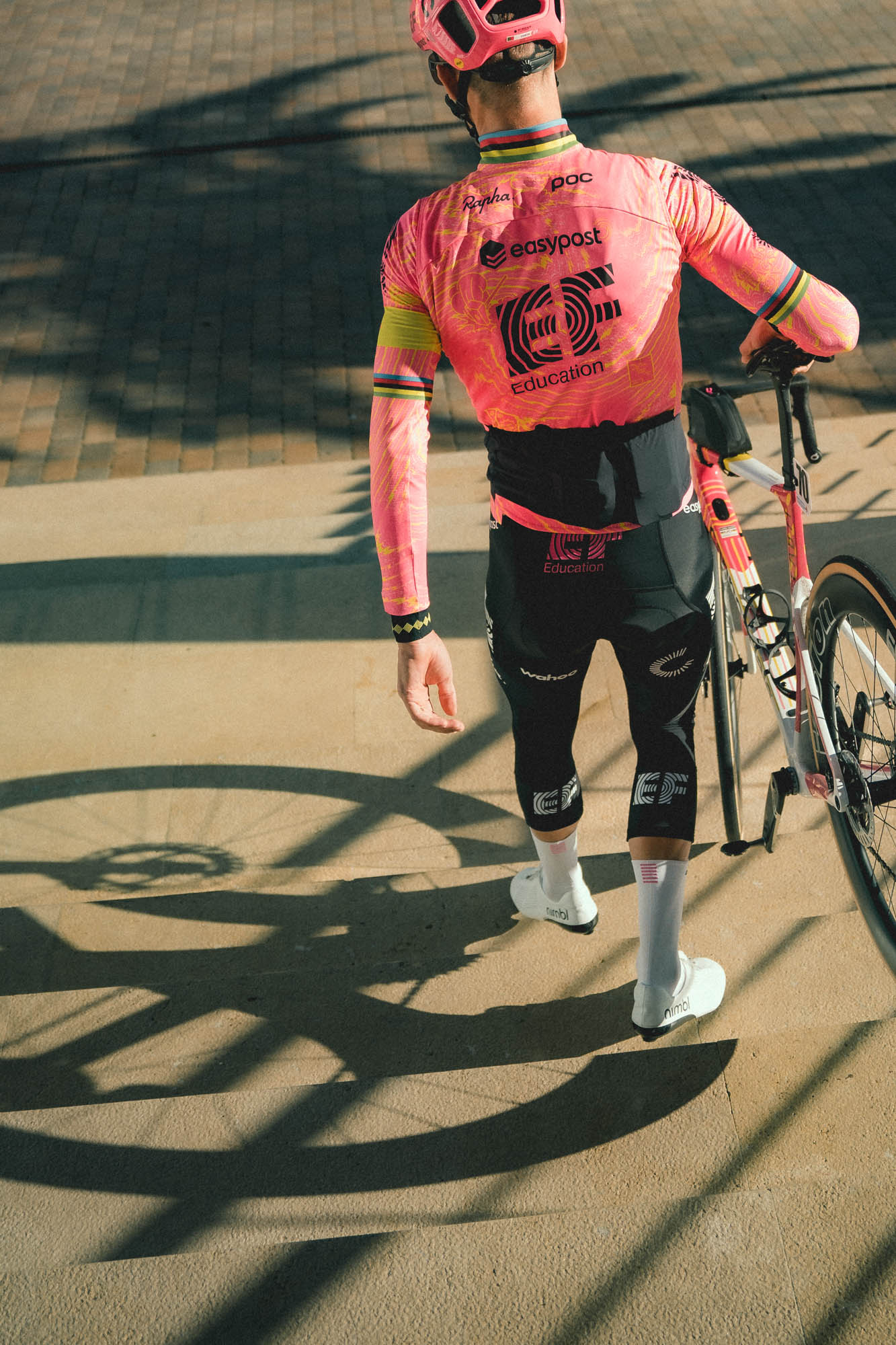 Embracing Adventure: EF Pro Cycling and Tailfin's Unique Partnership ...