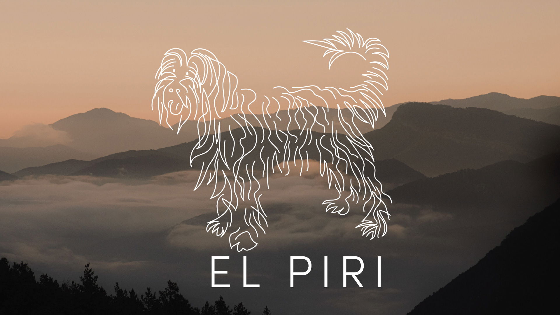 How to Prepare for El Piri Gravel Event - Tailfin Cycling